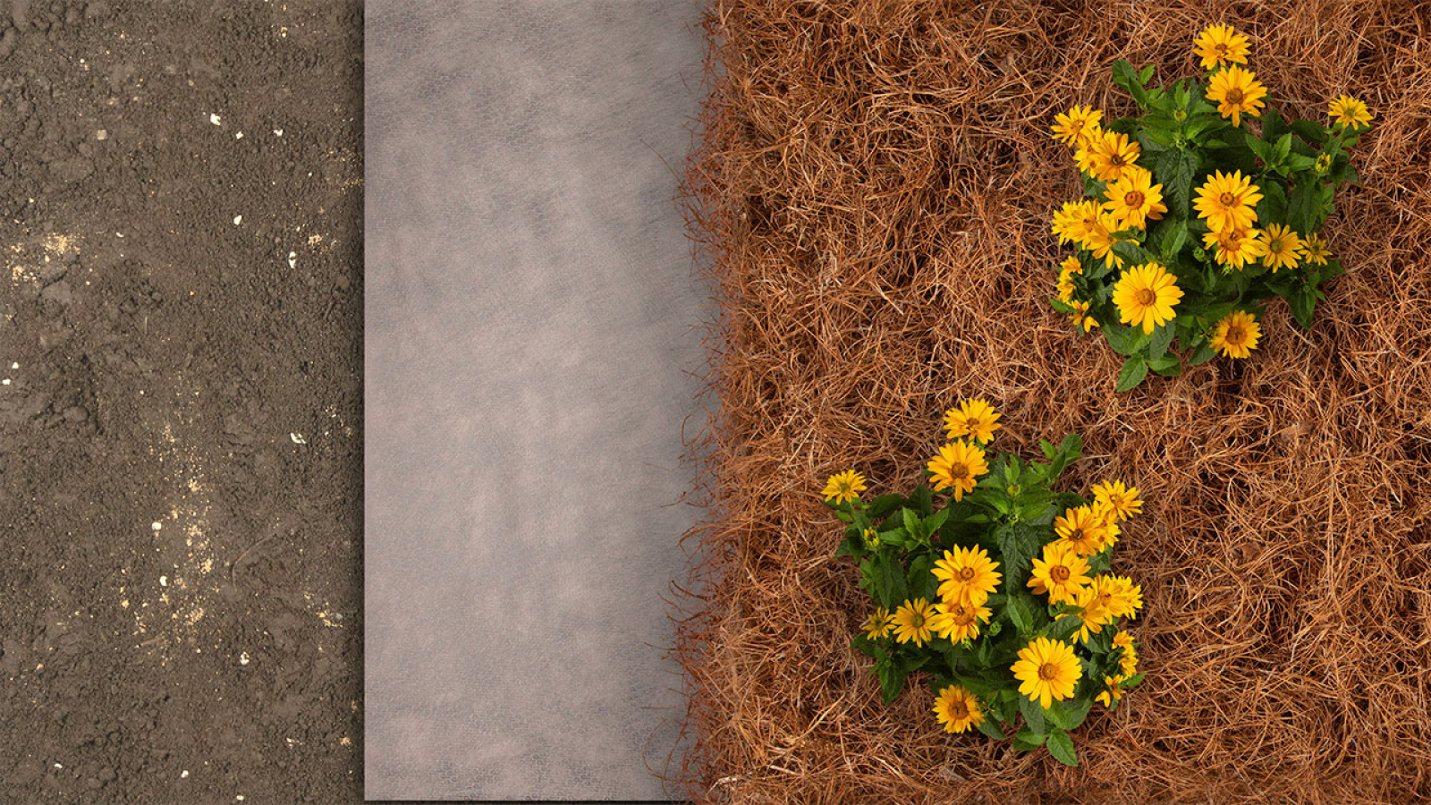 Gardien Products Partners with PUREi for Layered Photography Project | News